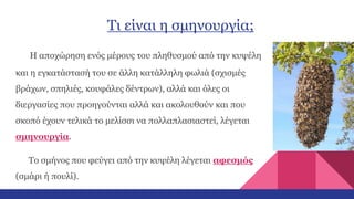 Το φαινόμενο της Σμηνουργίας.pptx