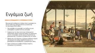 Η ΓΥΝΑΙΚΑ ΣΤΟ ΒΥΖΑΝΤΙΟ,ΔΙΑΚΟΜΑΝΩΛΗ | PPT