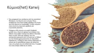 ΜΠΑΧΑΡΙΚΑ ΤΩΝ ΟΛΛΑΝΔΩΝ,ΖΗΣΗ-ΚΑΝΑΤΣΟ | PPT