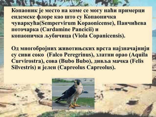 Национални паркови Pptx