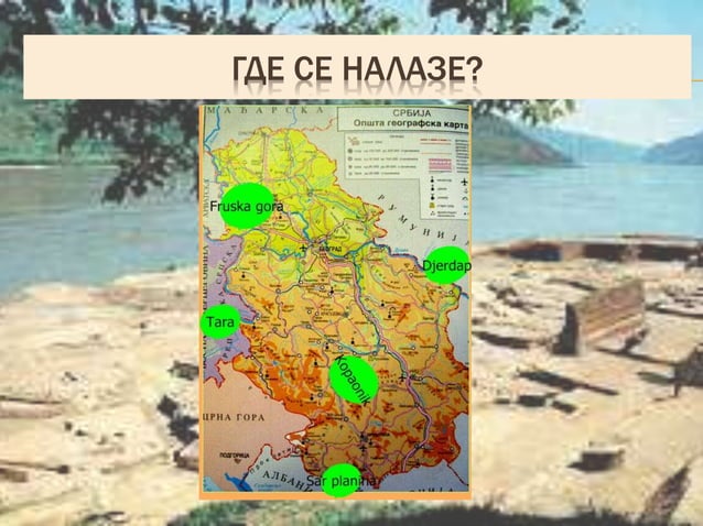 Национални паркови Pptx