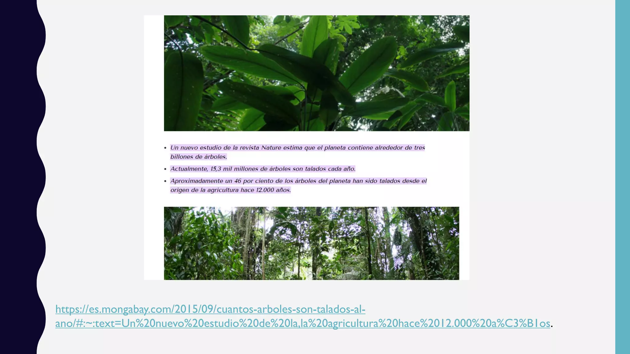 ..CALENDARIO FORESTAL.pdf