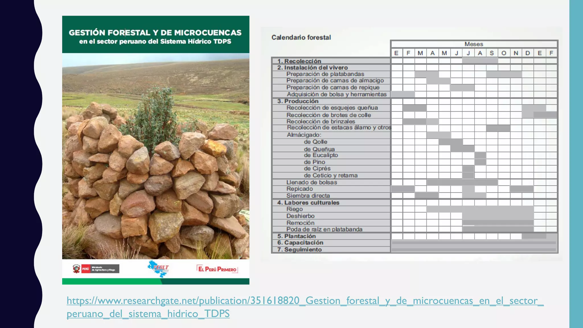 ..CALENDARIO FORESTAL.pdf
