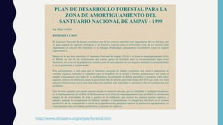 ..CALENDARIO FORESTAL.pdf