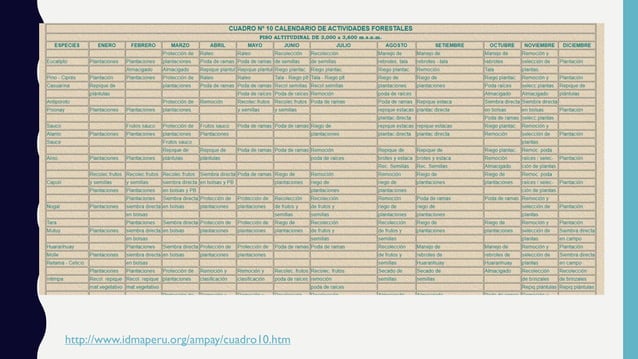 ..CALENDARIO FORESTAL.pdf