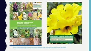 ..CALENDARIO FORESTAL.pdf