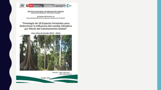 ..CALENDARIO FORESTAL.pdf