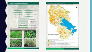 ..CALENDARIO FORESTAL.pdf