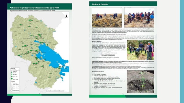 ..CALENDARIO FORESTAL.pdf