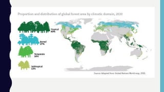 ..CALENDARIO FORESTAL.pdf