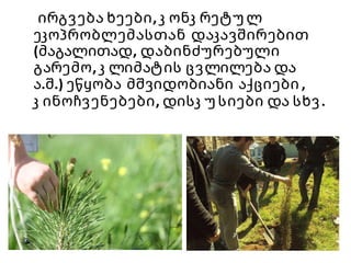 დედამიწის დღე.pptx