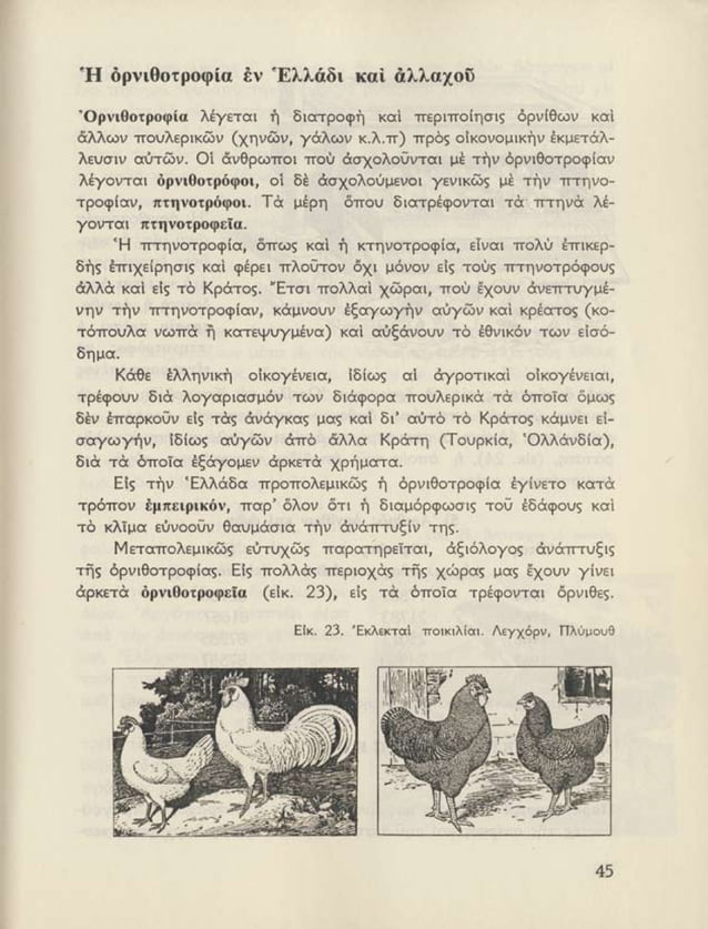 ΦΥΣΙΚΗ ΙΣΤΟΡΙΑ ΣΤ ΔΗΜ. 1969 | PDF