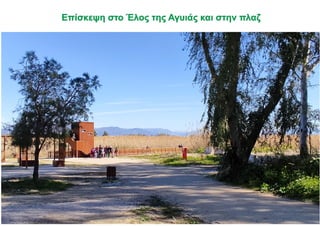 Επίσκεψη στο Έλος Αγυιάς και στην πλαζ.pdf