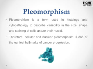 عبدالله صالح.pptx