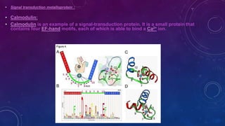 𝕄𝕖𝕥𝕒𝕝𝕝𝕠𝕡𝕣𝕠𝕥𝕖𝕚𝕟 - 𝕡𝕣𝕖𝕤𝕒𝕟𝕥𝕒𝕥𝕚𝕠𝕟.pptx