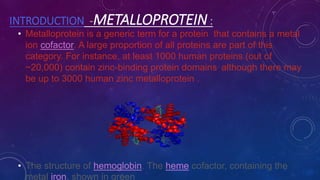 𝕄𝕖𝕥𝕒𝕝𝕝𝕠𝕡𝕣𝕠𝕥𝕖𝕚𝕟 - 𝕡𝕣𝕖𝕤𝕒𝕟𝕥𝕒𝕥𝕚𝕠𝕟.pptx