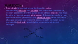𝕄𝕖𝕥𝕒𝕝𝕝𝕠𝕡𝕣𝕠𝕥𝕖𝕚𝕟 - 𝕡𝕣𝕖𝕤𝕒𝕟𝕥𝕒𝕥𝕚𝕠𝕟.pptx