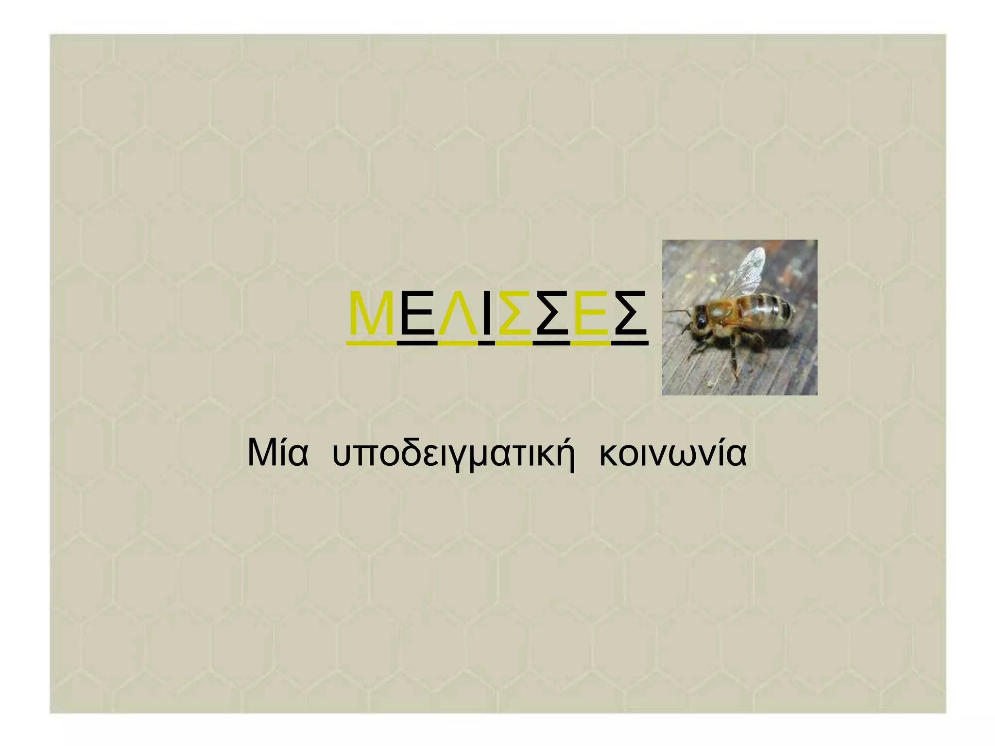 Μελέτη Δ' δημοτικού-Μέλισσα.ppt