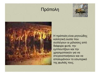 Μελέτη Δ' δημοτικού-Μέλισσα.ppt