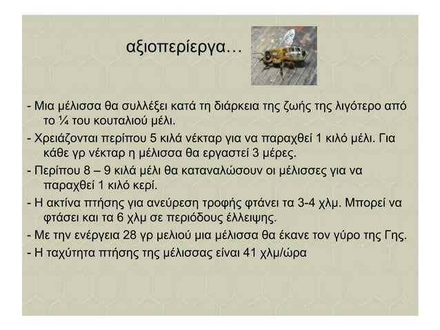 Μελέτη Δ' δημοτικού-Μέλισσα.ppt