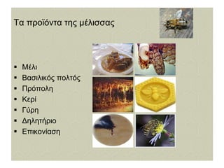 Μελέτη Δ' δημοτικού-Μέλισσα.ppt