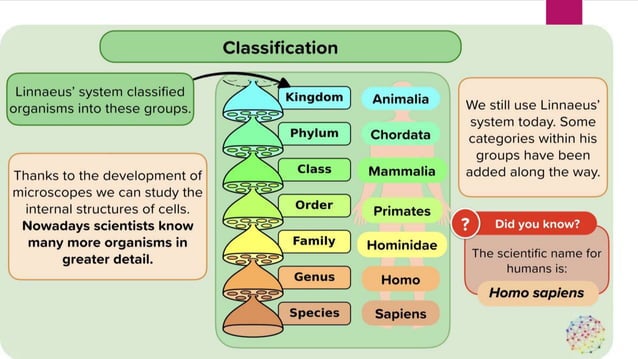 Classification by Kashif.pptx