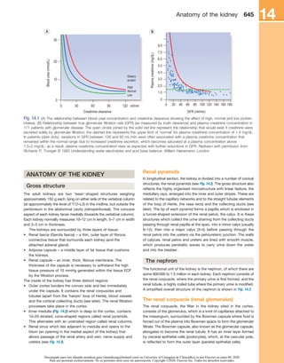 .-14 - The renal system.pdf