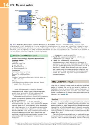 .-14 - The renal system.pdf