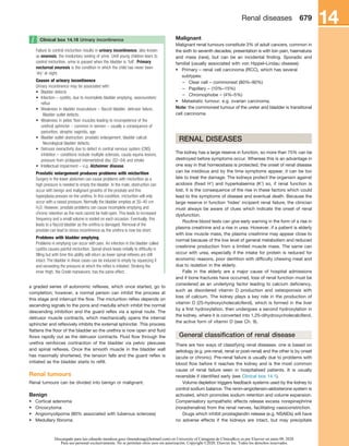 .-14 - The renal system.pdf