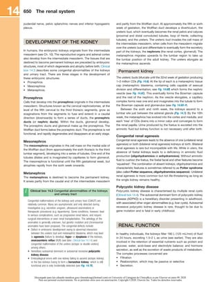 .-14 - The renal system.pdf