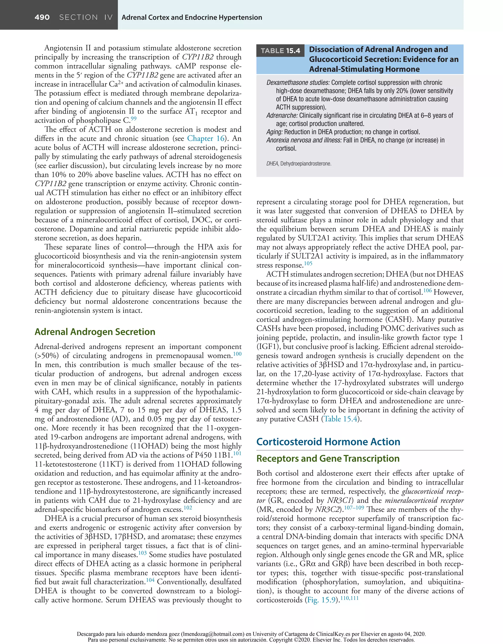 .-15 – The Adrenal Cortex.pdf