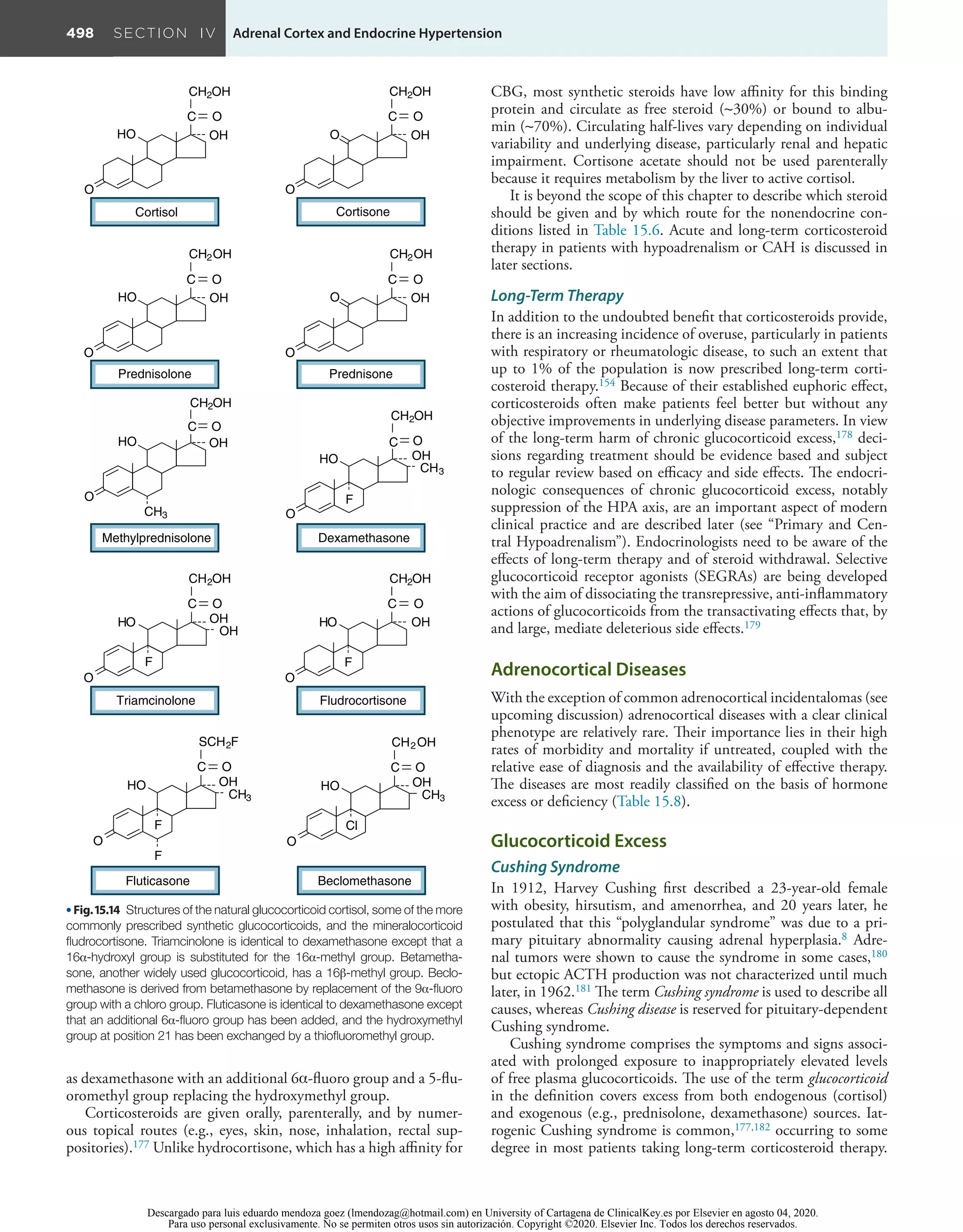 .-15 – The Adrenal Cortex.pdf