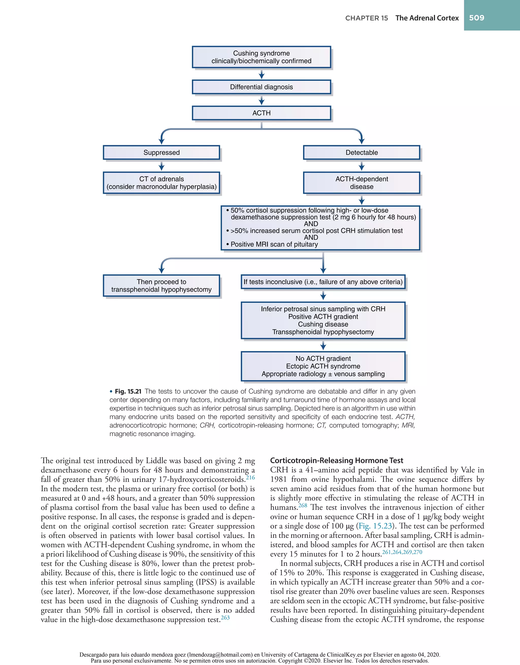 .-15 – The Adrenal Cortex.pdf