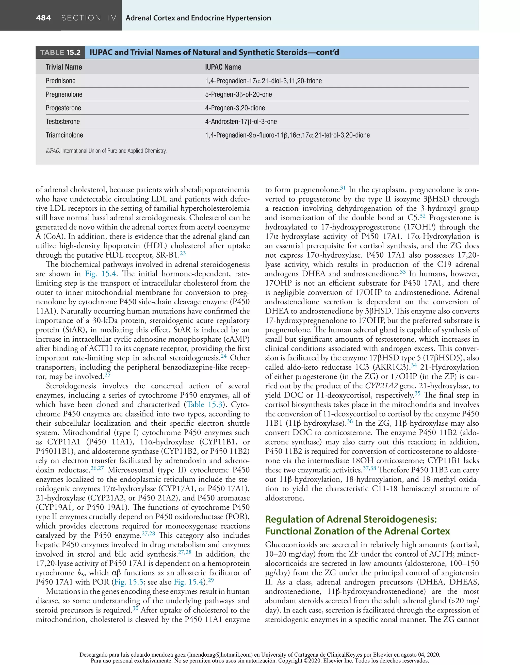 .-15 – The Adrenal Cortex.pdf