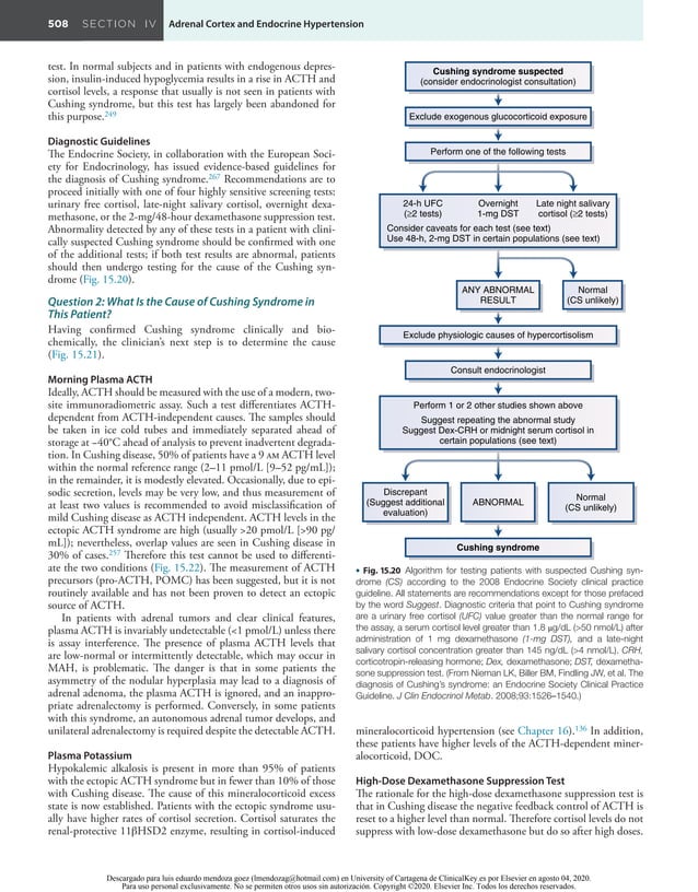 .-15 – The Adrenal Cortex.pdf | Endocrine and Metabolic Diseases | Diseases and Conditions