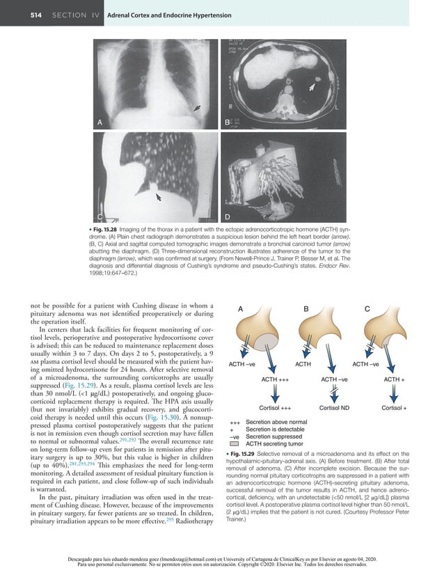 .-15 – The Adrenal Cortex.pdf