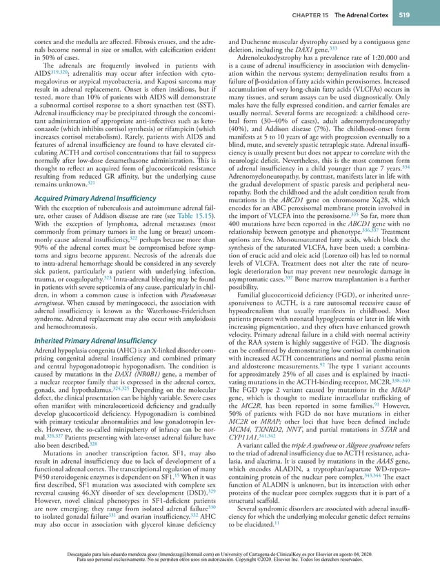 .-15 – The Adrenal Cortex.pdf