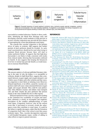 .-Ischemic Renal Injury_REVISARLO.pdf