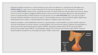 Хормони хипофизе.pptx