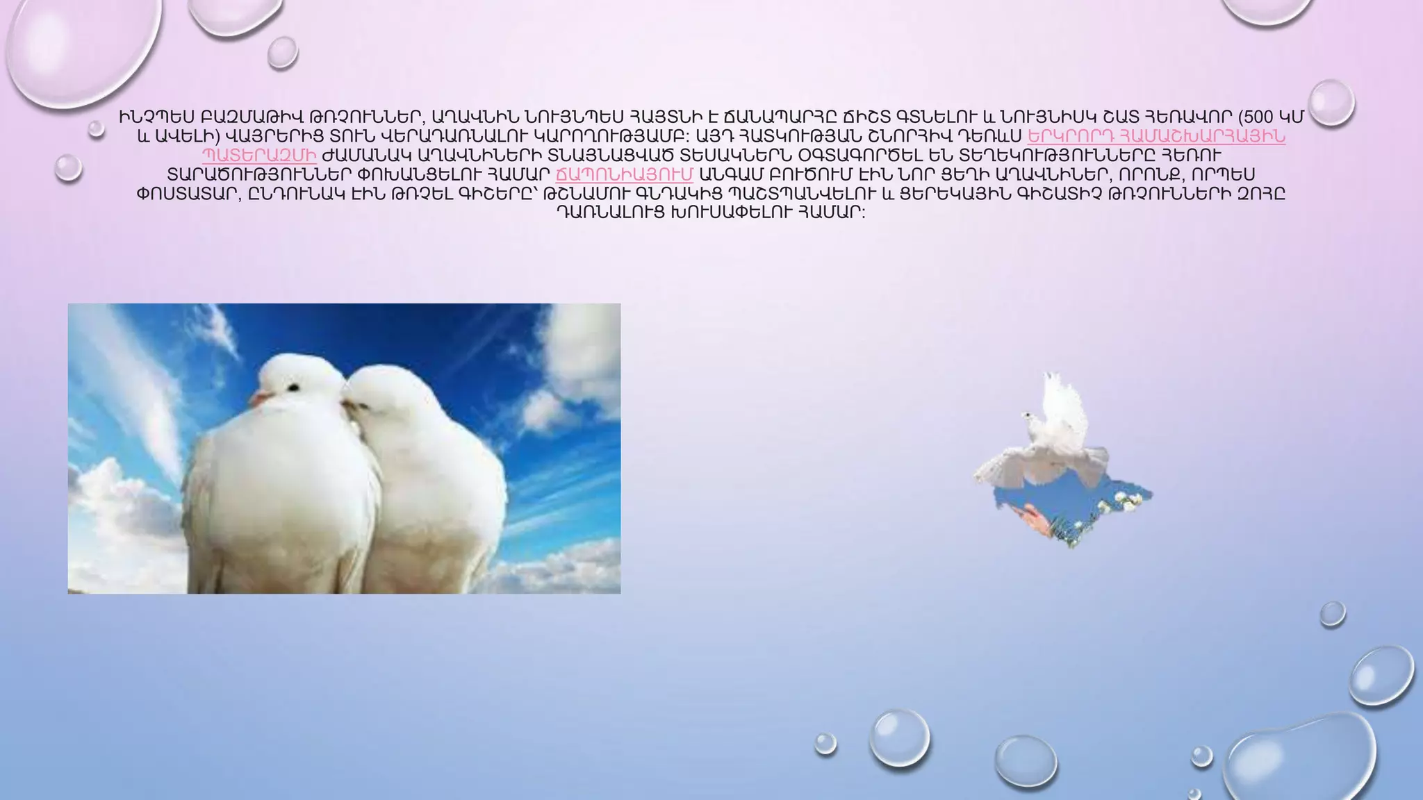 Աղունիկ մասին.pptx