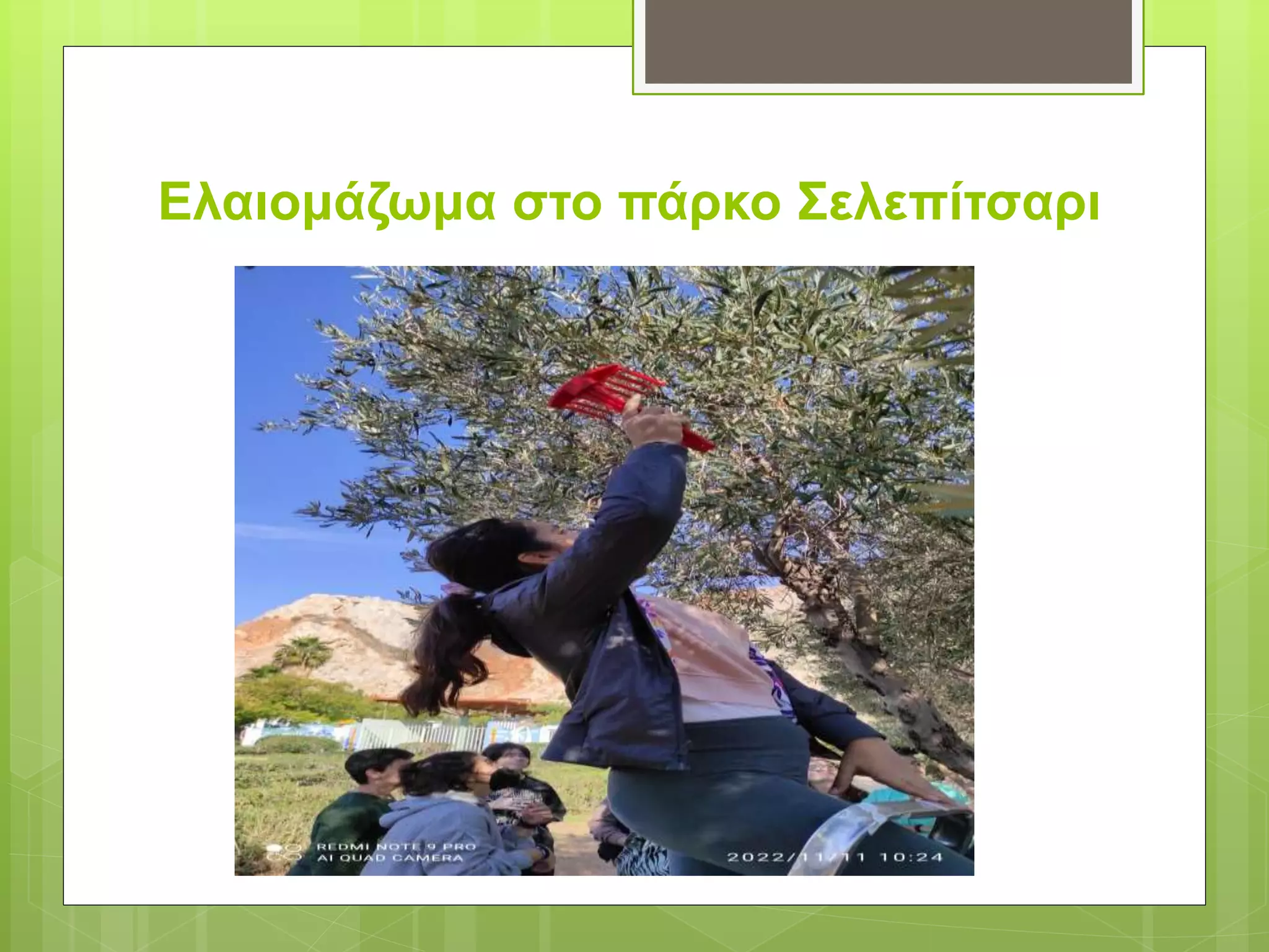 ΠΑΡΟΥΣΙΑΣΗ ΕΛΙΑ.pptx