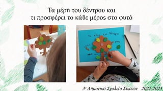 Φυτεύω και υιοθετώ ένα δέντρο.pdf