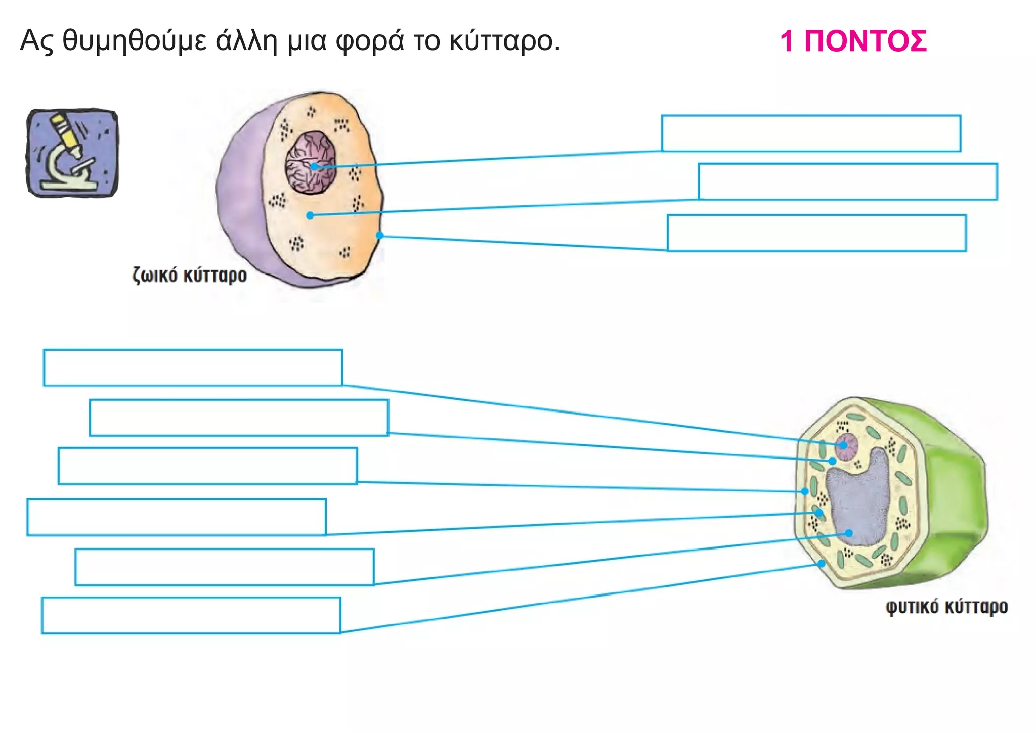 Το κύτταρο | PDF