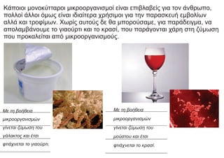 Το κύτταρο | PDF