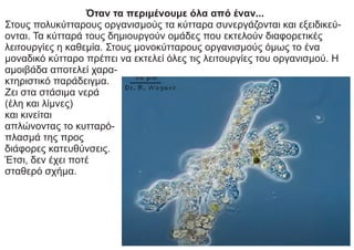 Το κύτταρο | PDF