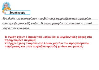 Πώς βλέπουμε | PDF