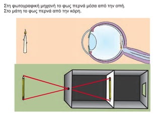 Πώς βλέπουμε | PDF