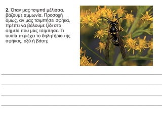 Τα άλατα | PPT | Free Download