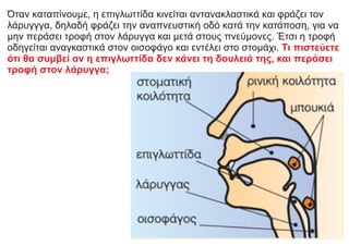 Η αναπνοή | PDF