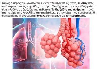 Η αναπνοή | PDF